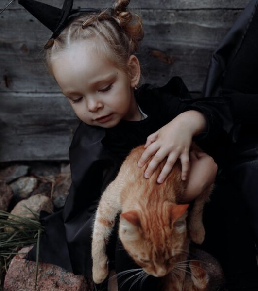 11 Psychological Benefits of Having Cats (Amazing) – Cat Mastermind